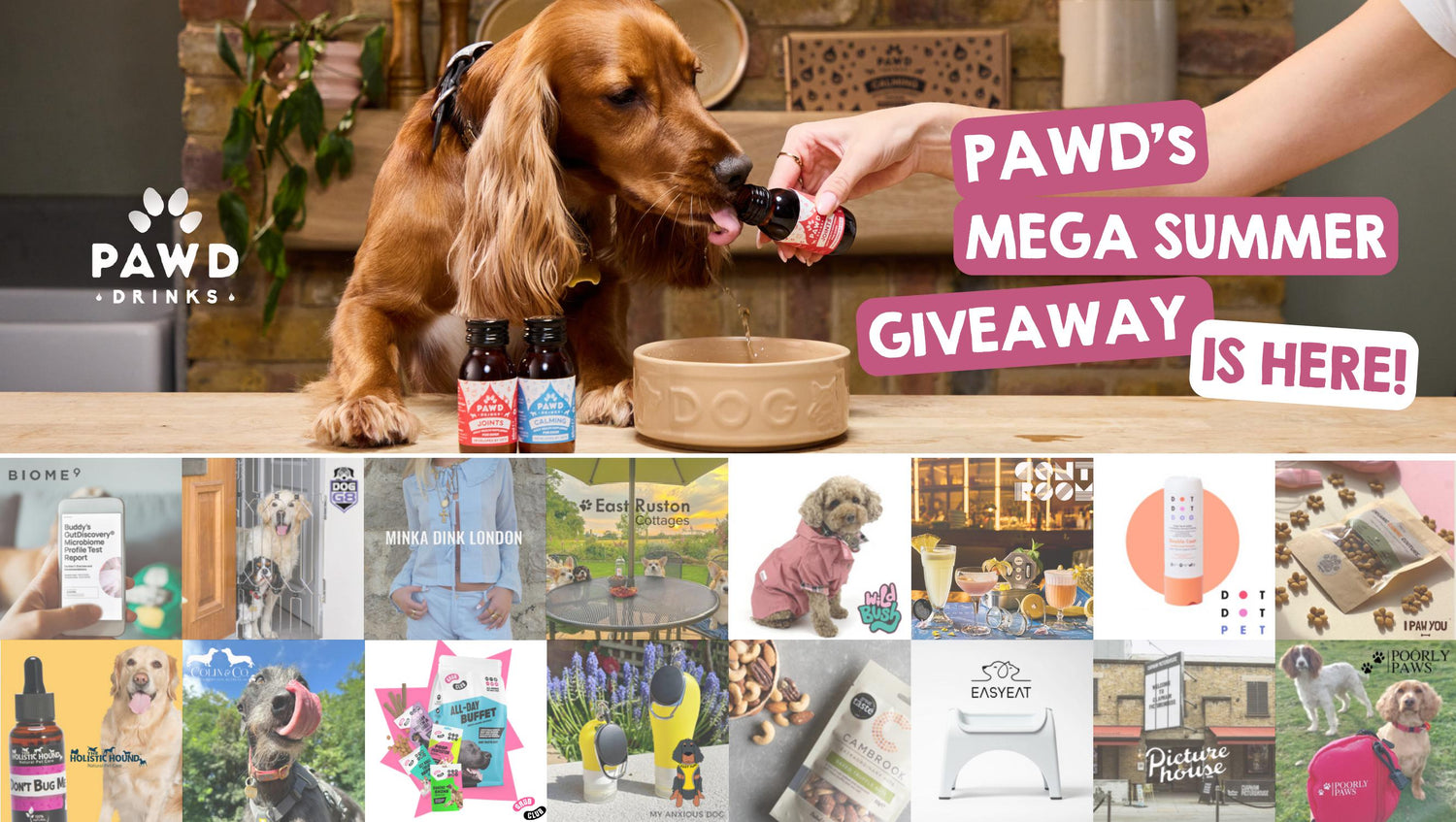 Giveaway – PAWD DRINKS